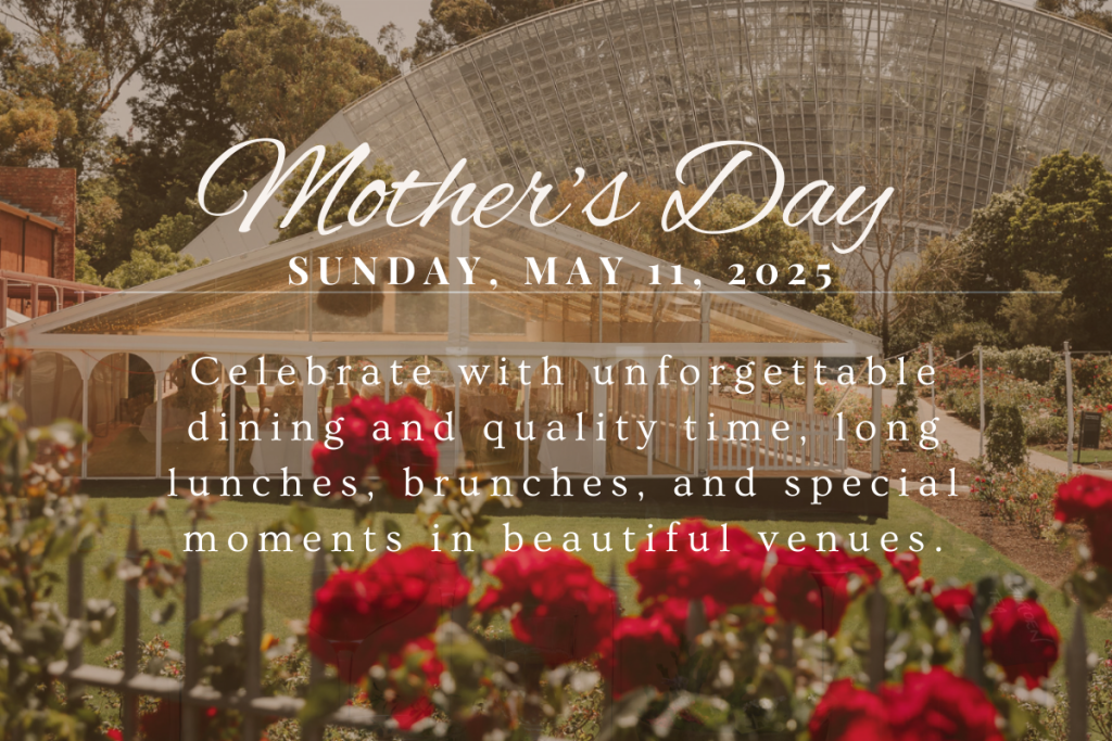 South Australia Museum - Blanco Horner